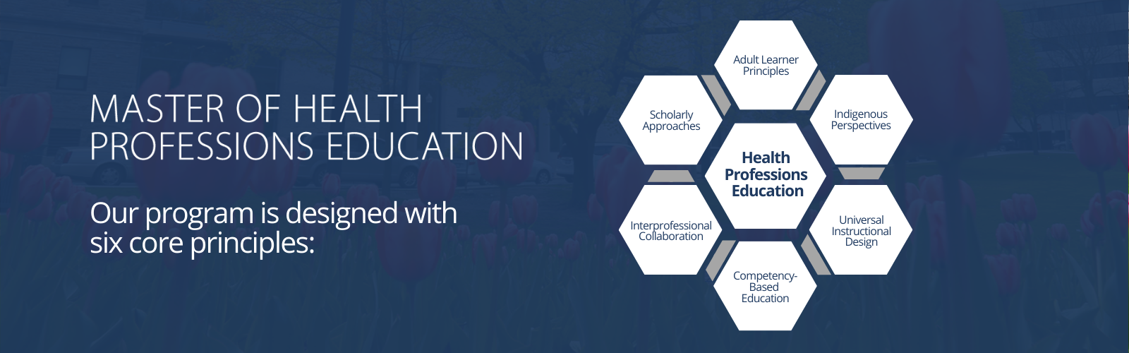 MHPE Course Descriptions | Health Education Programs | Faculty of ...