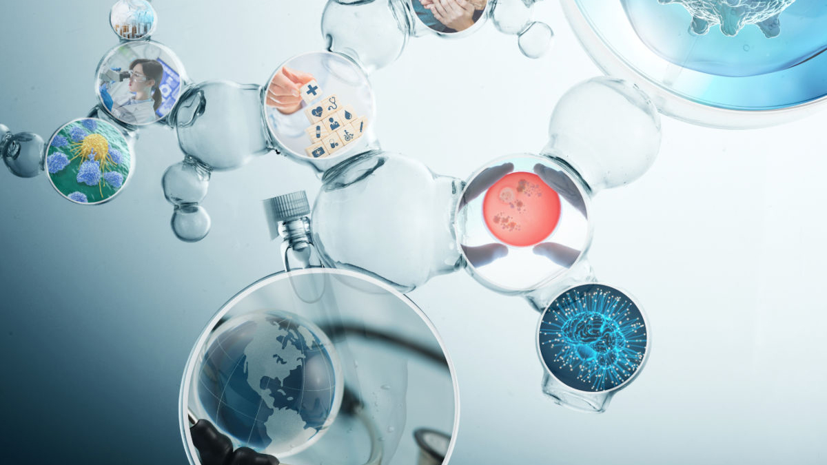 Canada Research Chairs announced from Queen’s Health Sciences | Faculty ...